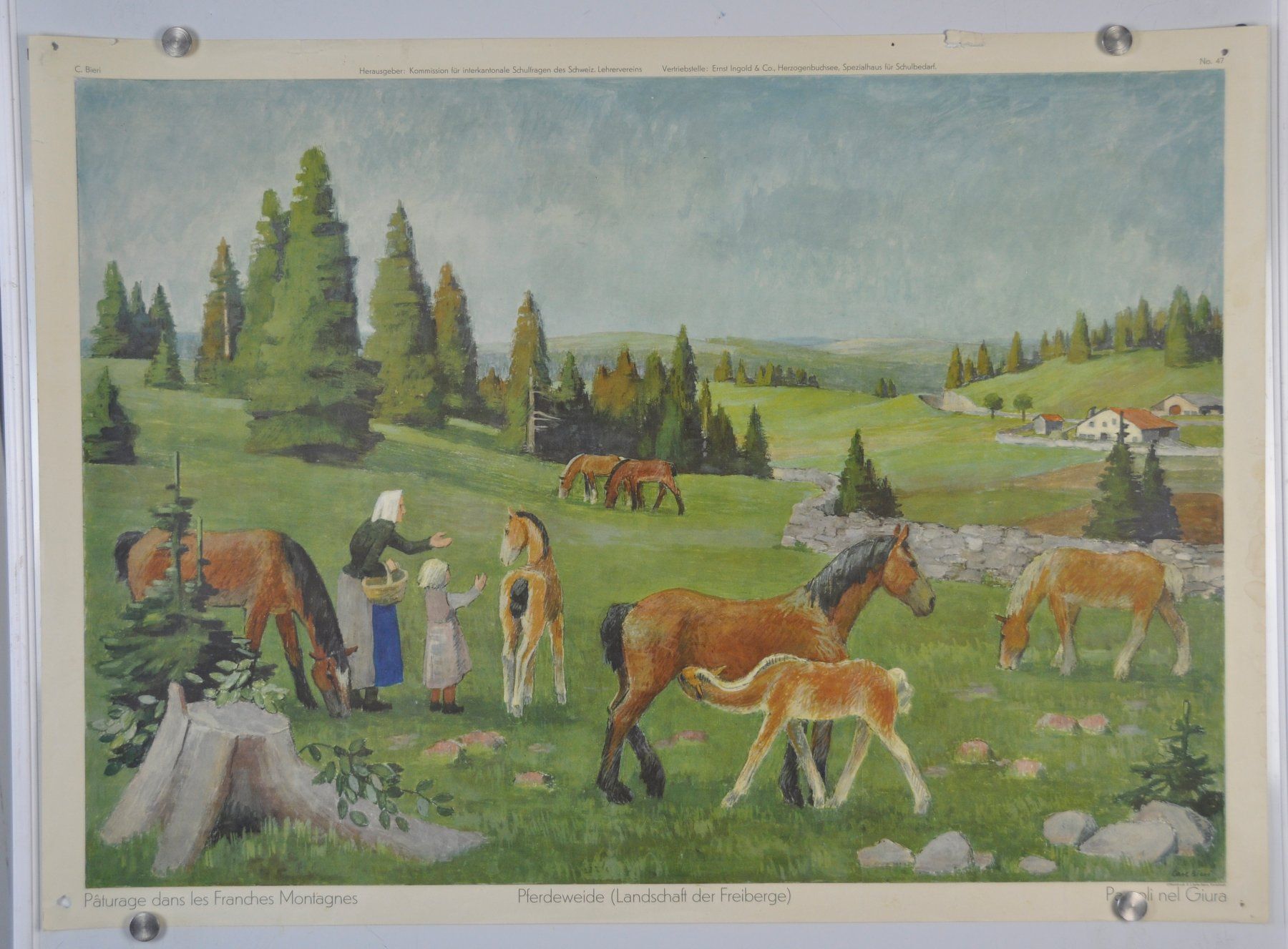 Schulwandbild Pferdeweide (Landschaft der Freiberge) Carl Bi (Gebraucht ...