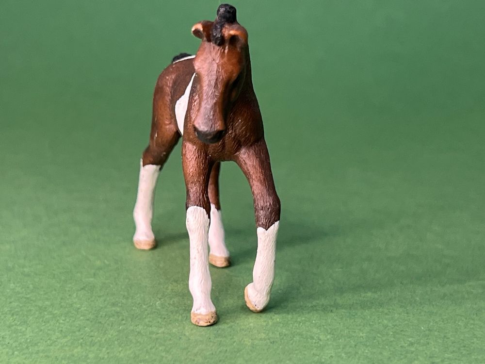 Schleich 13758 Trakehner Fohlen Pferd (Gebraucht) in Ennetbaden für CHF 6 – mit Lieferung auf ...