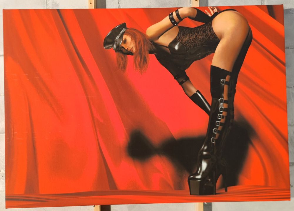 Bild Frau in Leder, Druck auf Leinwand (Neu (gemäss Beschreibung)) in Reinach BL für CHF 95 ...
