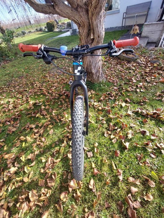 Cube Elite 240 C:62 Pro - 24'' - Carbon Kinder Mountainbike (Gebraucht) in Dachsen für CHF 900 ...