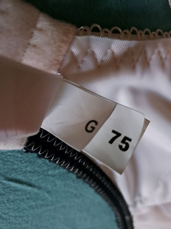 Ewa Michalak BH 75G (Neu (gemäss Beschreibung)) in Weggis für CHF 35 ...