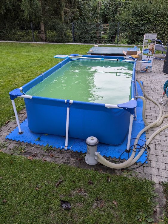 Intex Pool 2.6x1.6x0.65 inkl. Pumpe (Gebraucht) in für CHF 14 – nur ...