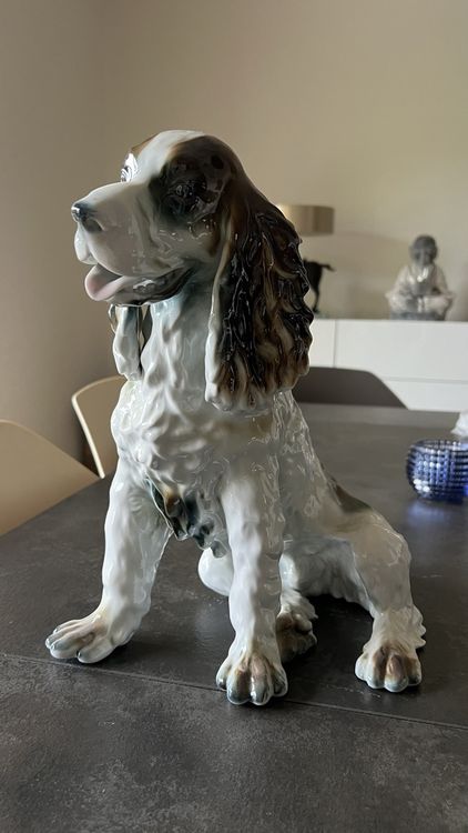 Cocker Spaniel - 34 cm - Porzellan Cluj Napoca Cervit (Neu (gemäss ...