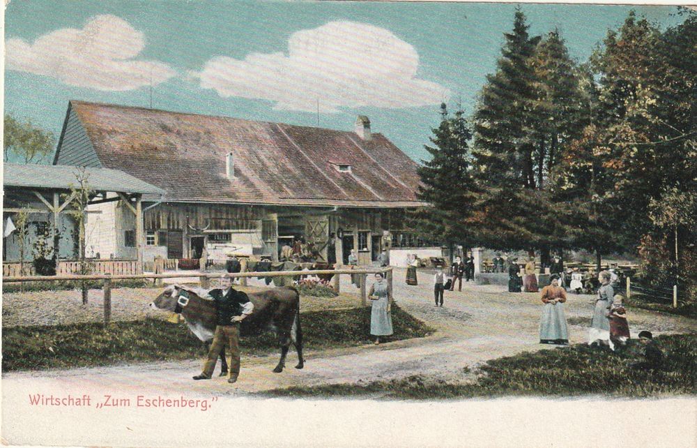 Winterthur Restaurant Eschenberg belebt (Gebraucht) in Rorschacherberg für CHF 9 – mit Lieferung ...