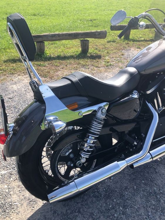 Harley Davidson Sissybar mit Quick Release für Sportster (Gebraucht) in ...