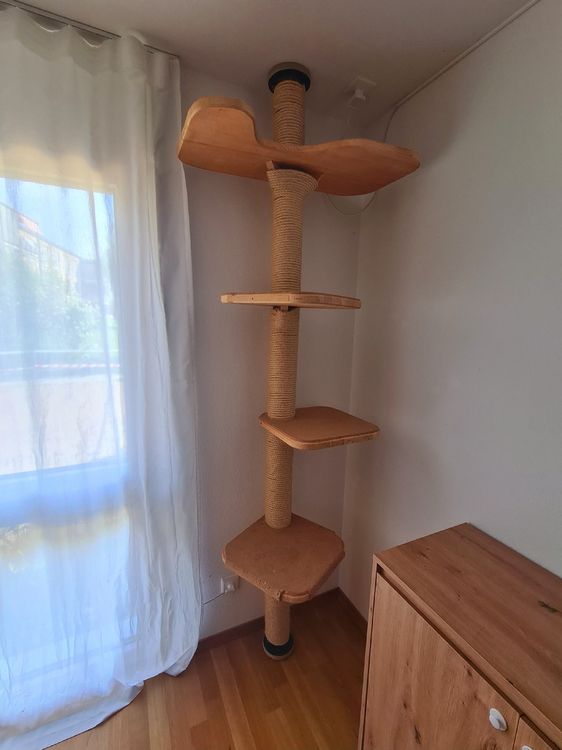 Katzenbaum - DIY (Gebraucht) in Murten für CHF 25 – nur Abholung auf ...