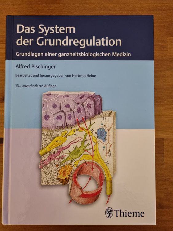 System der Grundregulation - A. Pischinger (Neu und originalverpackt ...