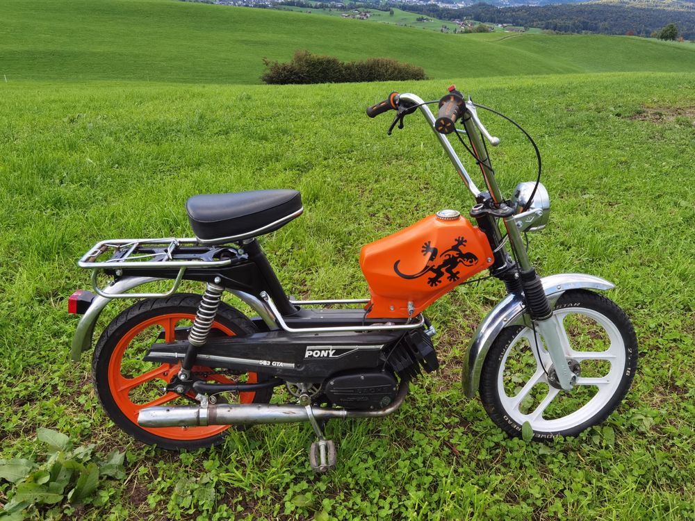 Sachs Mofa 503 (Gebraucht) in für CHF 1100 – nur Abholung auf Ricardo ...