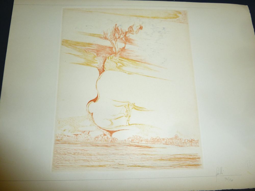 Litho | Kaufen auf Ricardo