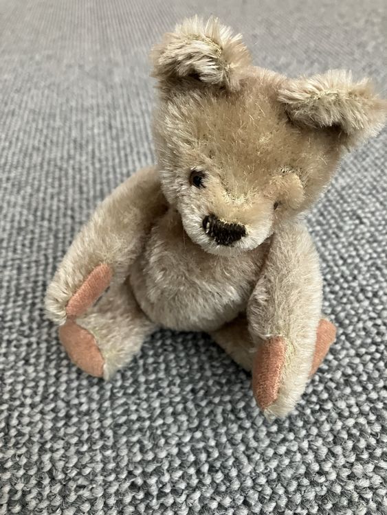 Steiff Bär | Kaufen auf Ricardo