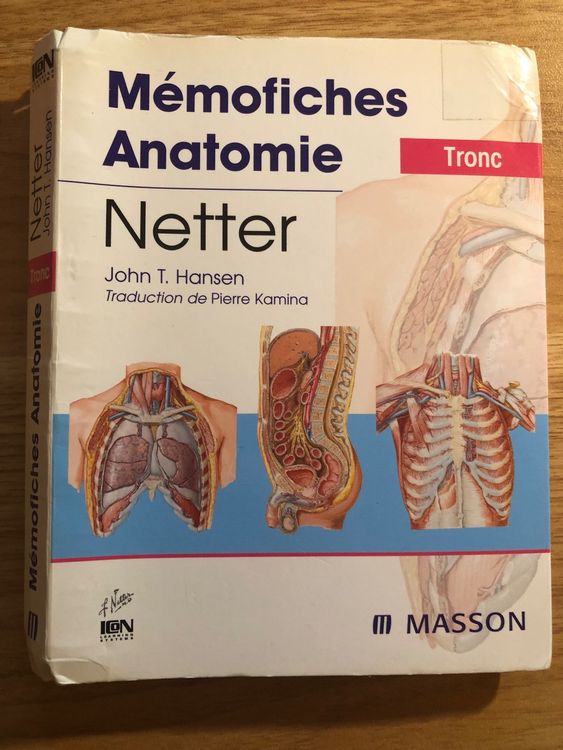 Livre de médecine: MEMOFICHE ANATOMIE: TRONC, NETTER (Gebraucht) in ...
