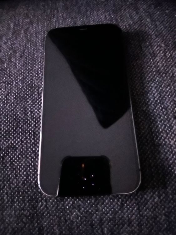 iPhone 13 Pro Max (Gebraucht) in Winterthur für CHF 320 – mit Lieferung auf Ricardo kaufen