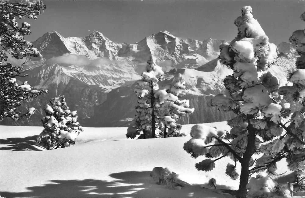 Eiger, Mönch, Jungfrau, E. Gyger (Gebraucht) in Ottikon b.Kemptth. für ...