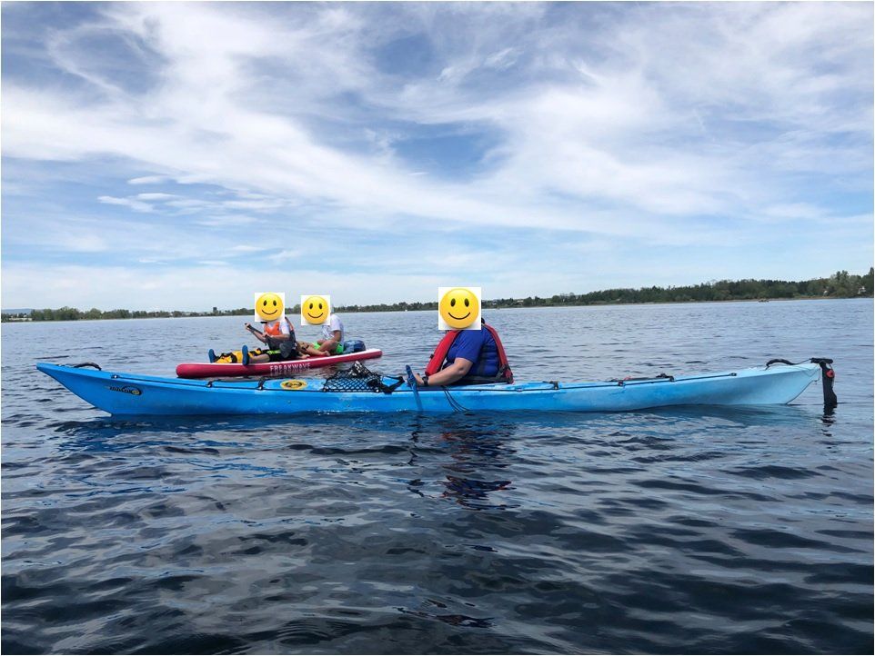 Sea/Lake Kayak DAG Miwok (including rudder, see picture) (Gebraucht) in ...
