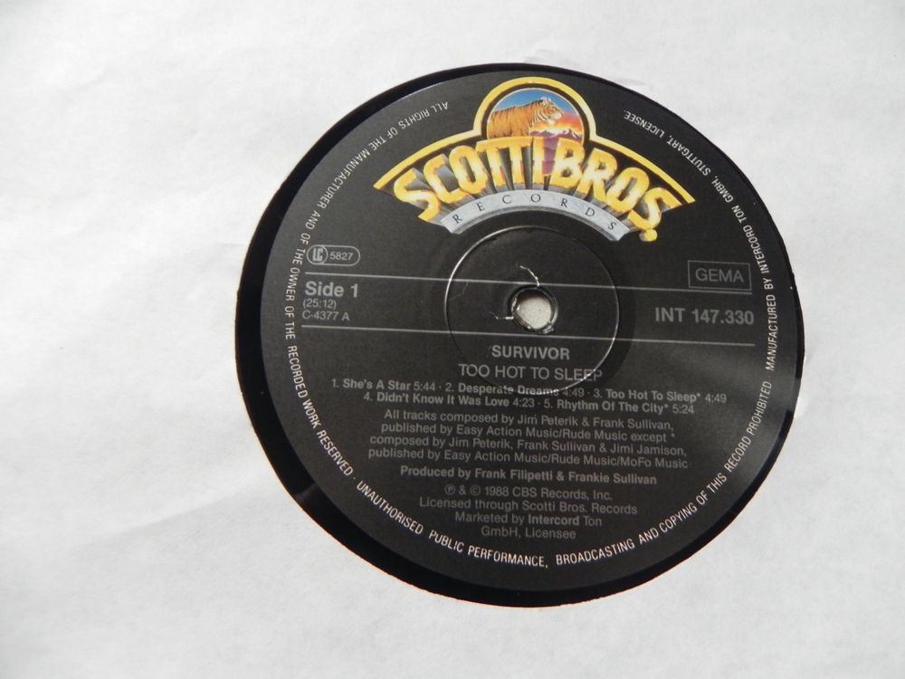 LP USA Rock Band Survivor 1988 Too hot to sleep (Gebraucht) in Siebnen ...