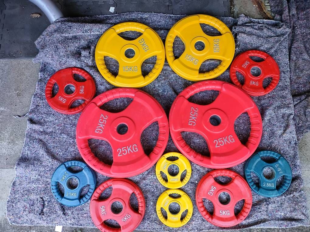 Hantelscheiben 107.5 kg 50 / 51 mm farbig (Gebraucht) in Muri b. Bern ...