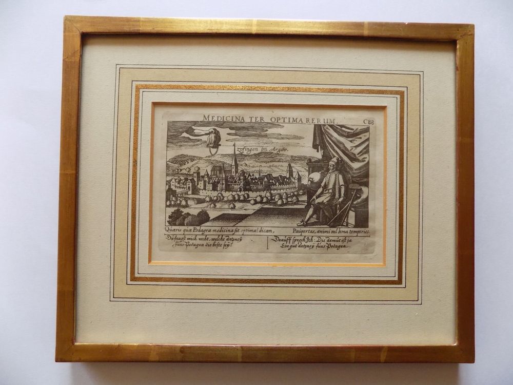 Zofingen Kupferstich selten Goldrahmen (Gebraucht) in Risch für CHF 175 – mit Lieferung auf ...