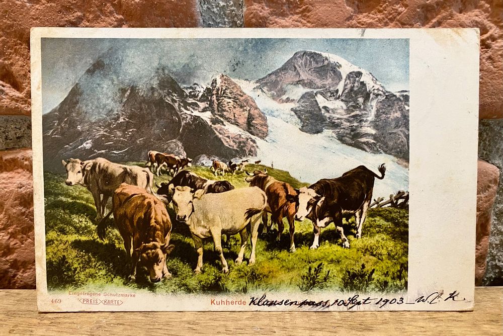 1903 - Antike Künstler AK Kuhherde am Klausenpass | Kaufen auf Ricardo