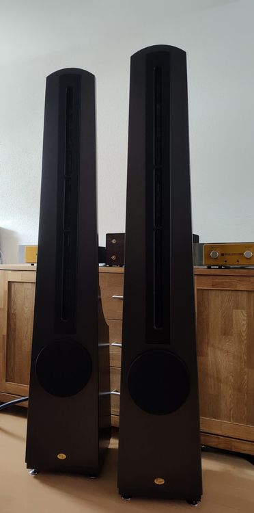 Relco Acoustic Mantis Ribbon Highend Lautsprecher | Kaufen auf Ricardo