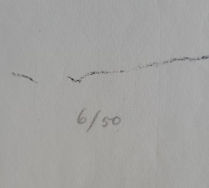 Victor SURBEK (1885-1975) - Lithographie (Gebraucht) in Elgg für CHF 40 – mit Lieferung auf ...