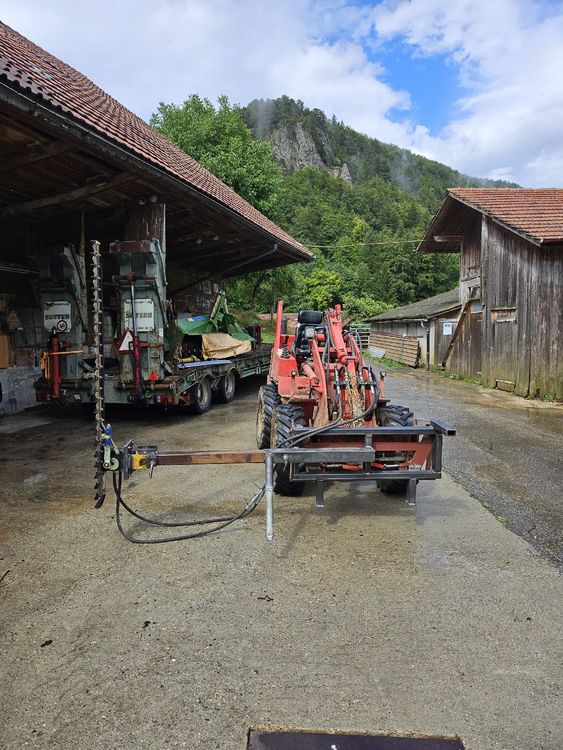 astschere | Kaufen auf Ricardo