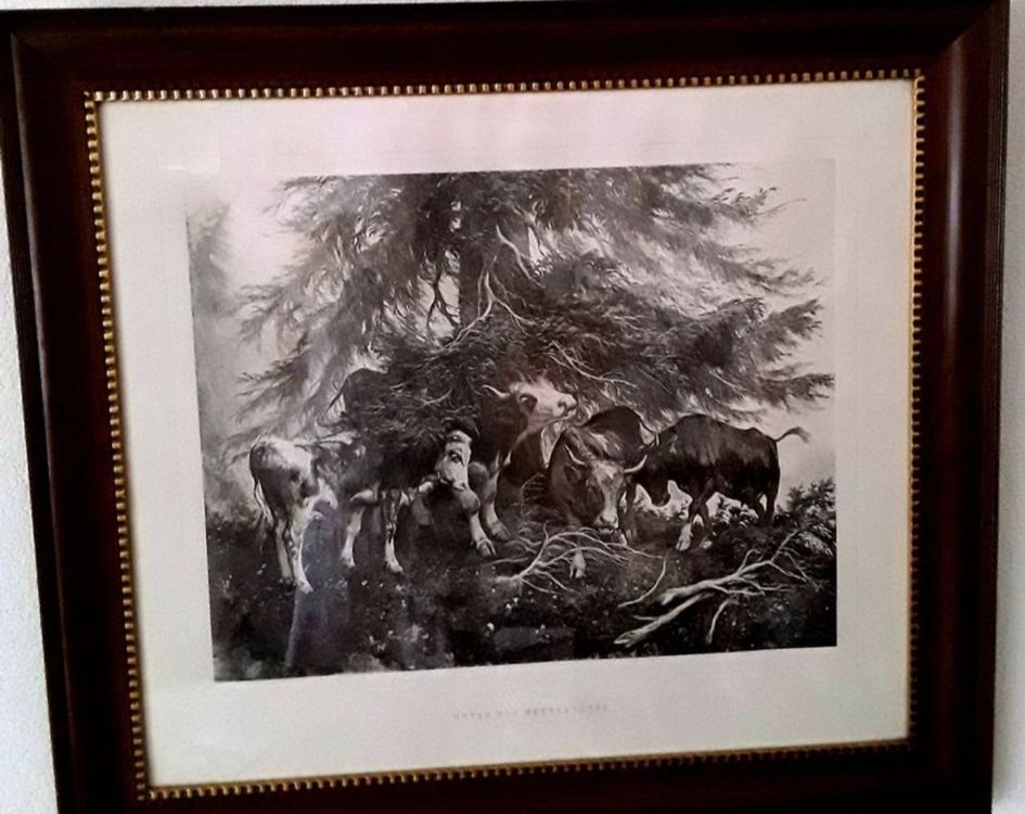 Seltener Originalstich Rudolf Koller sign.& datiert ab Fr.1. (Gebraucht ...