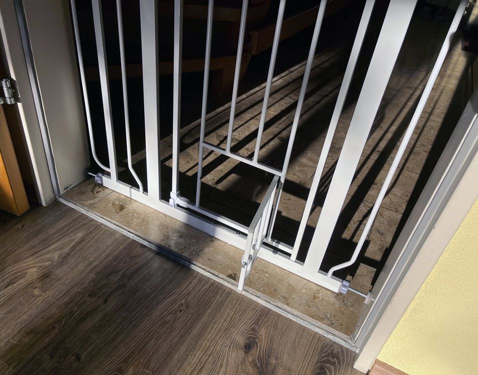 Schc383c2b6ne Absperrgitter Katze Hoch Bilder