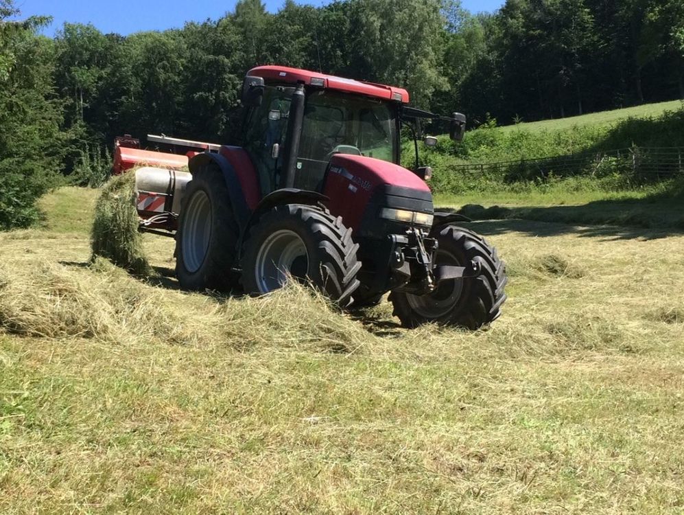 Bandschwader SIP 350 F (Gebraucht) in Homburg für CHF 17900 – nur Abholung auf Ricardo kaufen