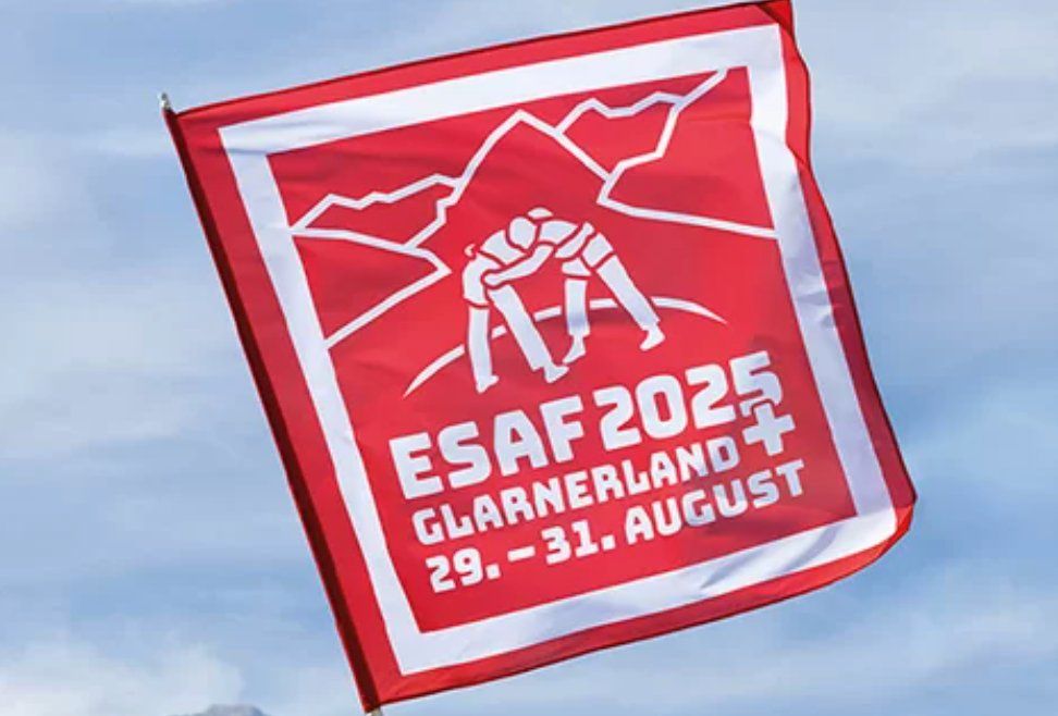 ESAF 1 TOP Sitzplatz Sa+SO Sektor F13 (Neu und originalverpackt) in ...