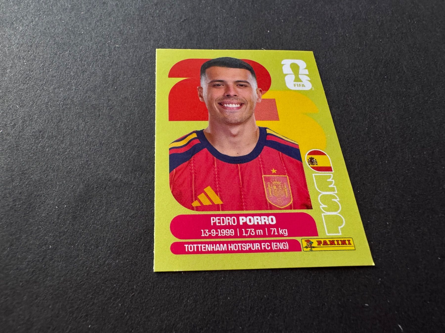 Panini Fifa Fussball WM 2026 Sticker Pedro Porro ESP 6 (Neu (gemäss ...