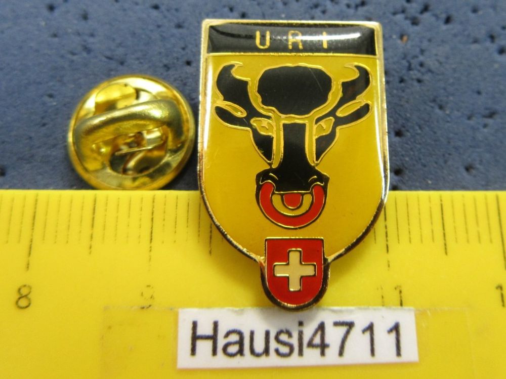 PIN URI SCHWEIZ KANTONS-WAPPEN GOLDIG GLASIERT | Kaufen auf Ricardo