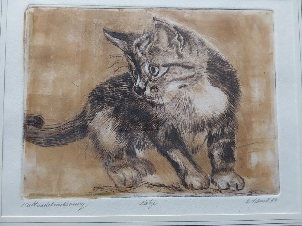 Original-Katzenbild-Signiert. Mit Rahmen 30x35cm. (Gebraucht) in ...
