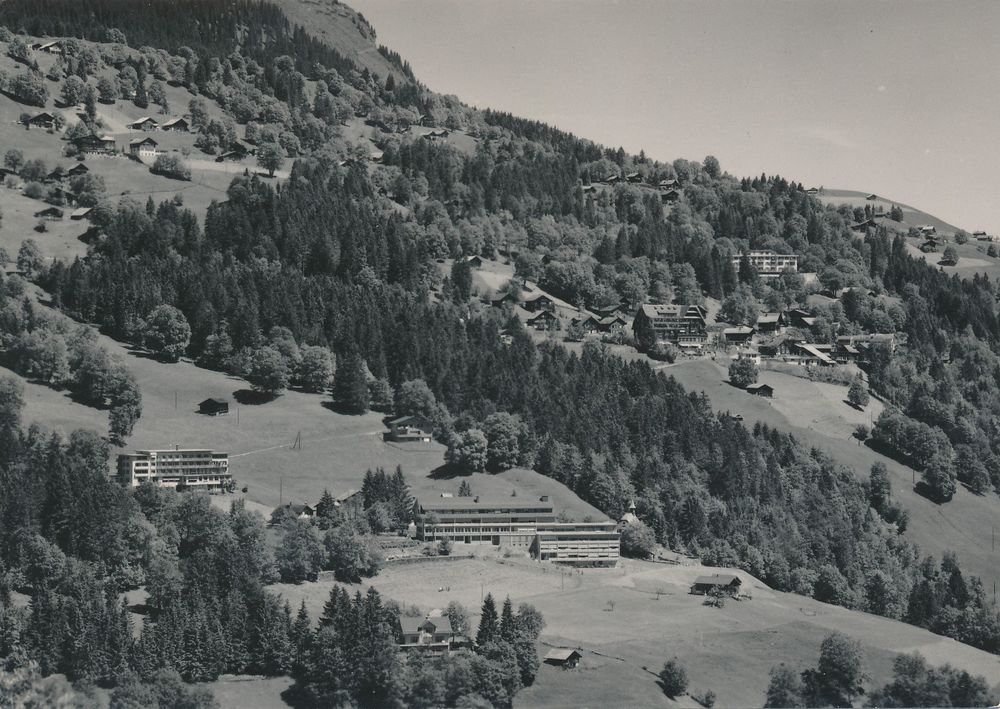 Braunwald (Gebraucht) in Luzern für CHF 4.5 – mit Lieferung auf Ricardo ...