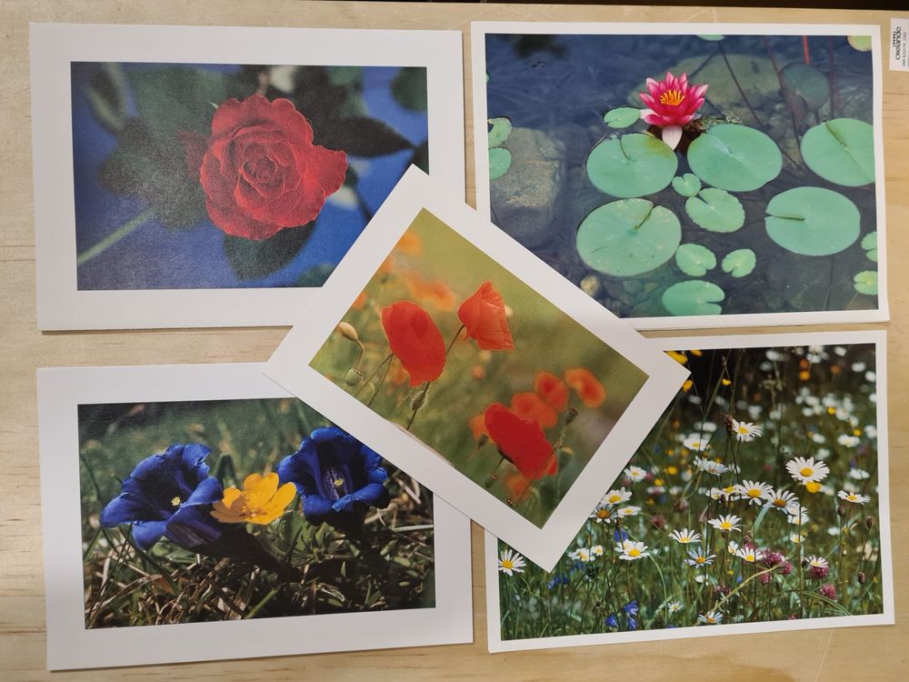 Alte Doppel Grusskarten diverse Grössen (Neu (gemäss Beschreibung)) in ...