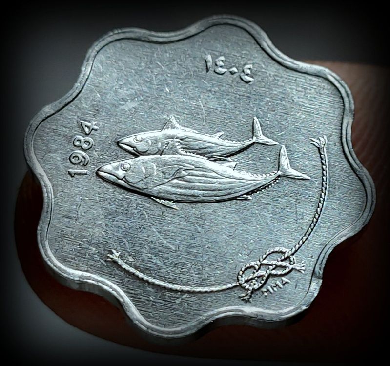 MALEDIVEN 5 LAARI 1404/1984 (Gebraucht) in Winterthur für CHF 2 – mit ...