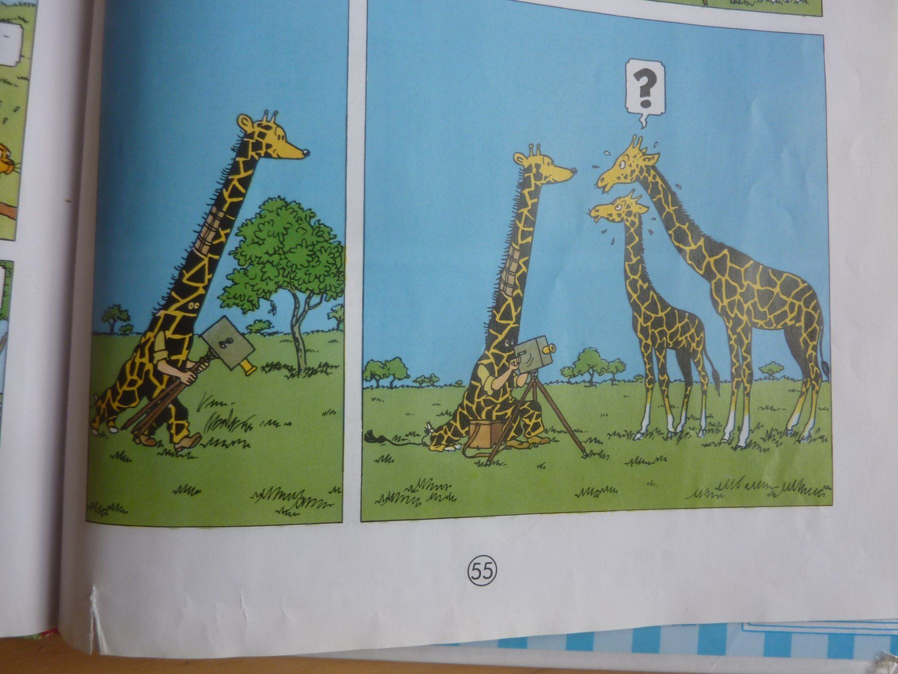 Tintin au Congo, Tim und Struppi im Kongo, Franz. Hardcover (Gebraucht ...