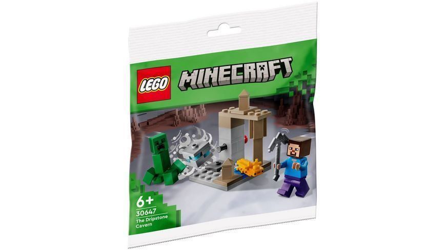 LEGO Minecraft 30647 Die Tropfsteinhöhle | Kaufen auf Ricardo