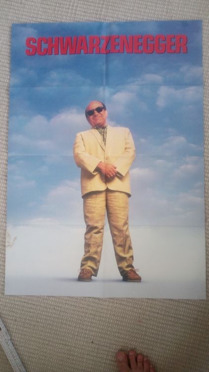 Original Schwarzenegger & DeVito Twins Poster, 82x60cm! (Gebraucht) in ...