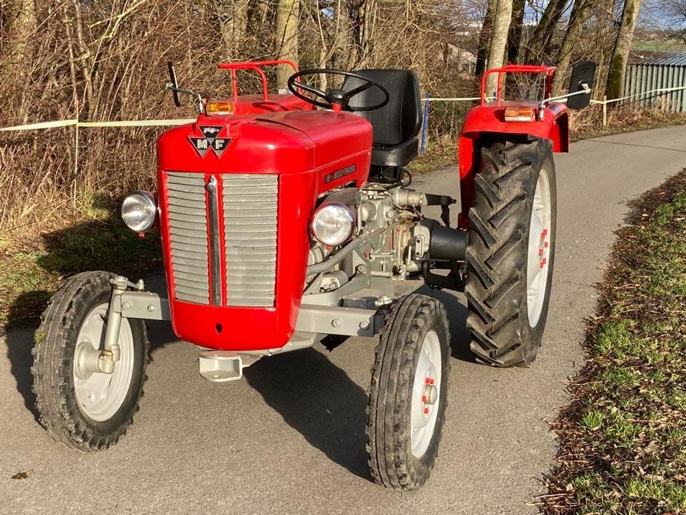 Traktor Massey Fergusson MF25 (Gebraucht) in Hausen am Albis für CHF ...