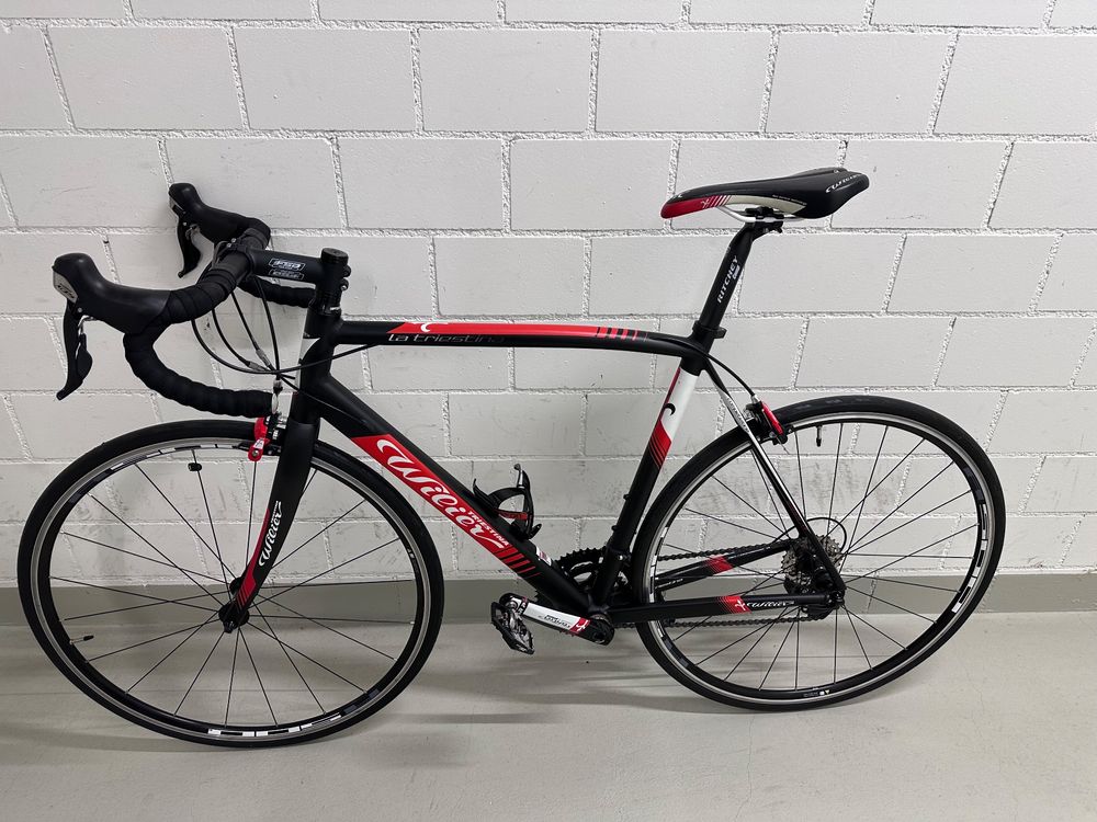 Wilier La Triestina Shimano 105, FSA, Carbon Gabel, XL (Gebraucht) in ...