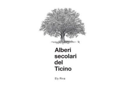 Alberi secolari del Ticino - Salvioni arti grafiche | Kaufen auf Ricardo