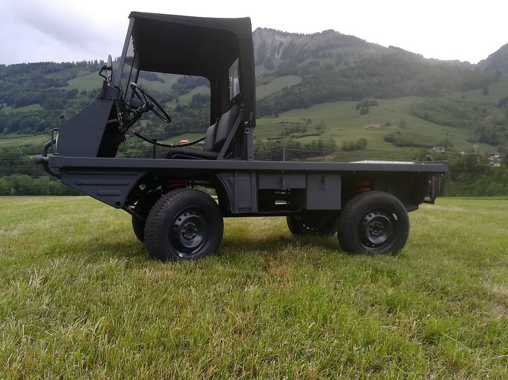 Haflinger série 2 (Gebraucht) in albeuve für CHF 24900 – nur Abholung auf Ricardo kaufen