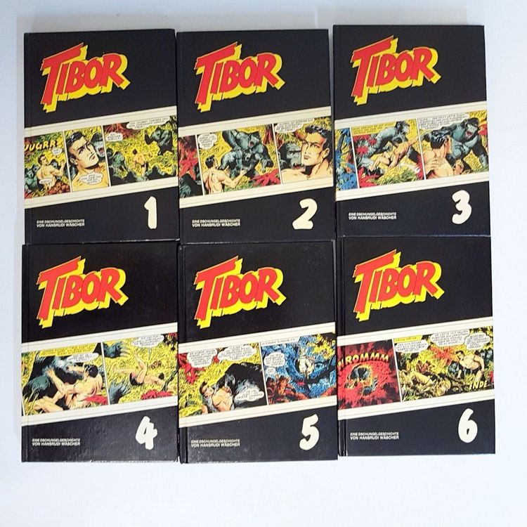 TIBOR-Bücher Nr.1-6 Sammlerausgabe 1985 -H.R. WÄSCHER- | Kaufen auf Ricardo