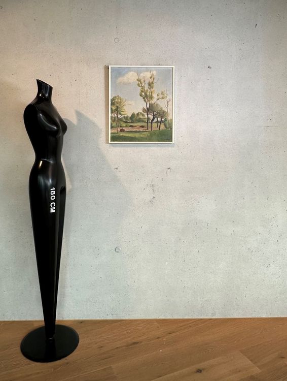Emile Martin - Swiss Art Selection (Gebraucht) in Sursee für CHF 60 – mit Lieferung auf Ricardo ...