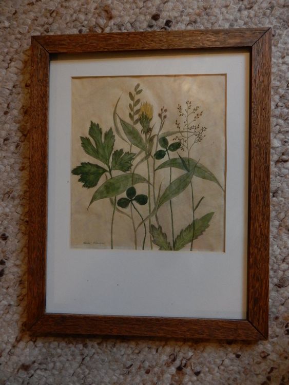 Aquarell Wiesenblumen handgemalt Holzrahmen Frühling (Gebraucht) in Jona für CHF 13.9 – mit ...
