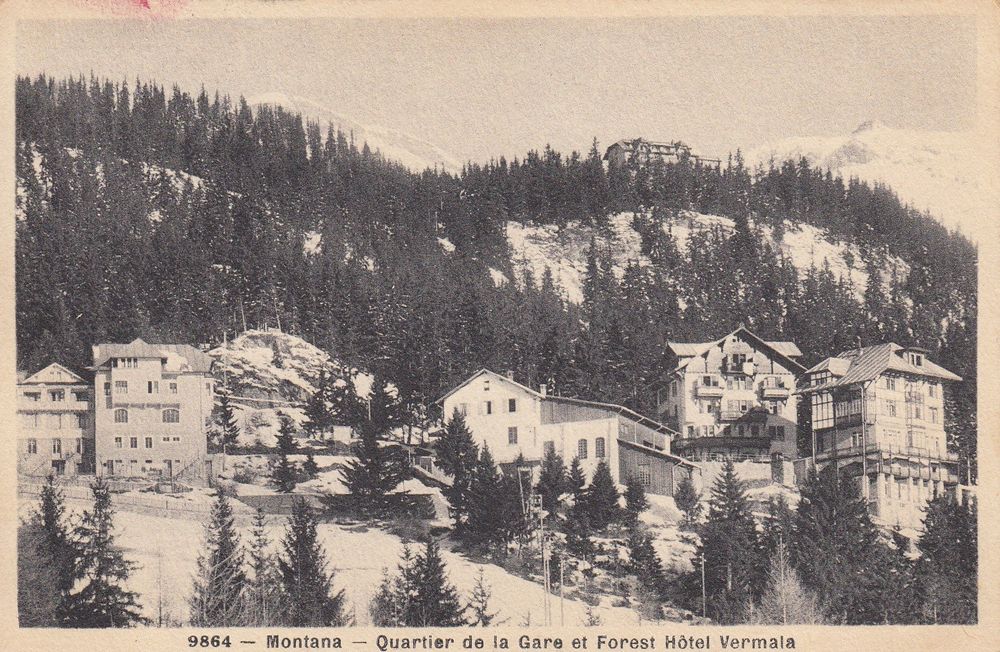 Montana VS - Quartier de la Gare et Forest Hôtel VERMALA (Gebraucht) in ...