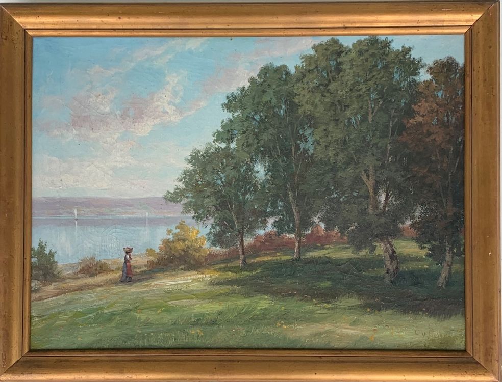 Gemälde Bielersee mit schönem Ansicht unleserlich Signiert (Gebraucht) in Root für CHF 20 – mit ...