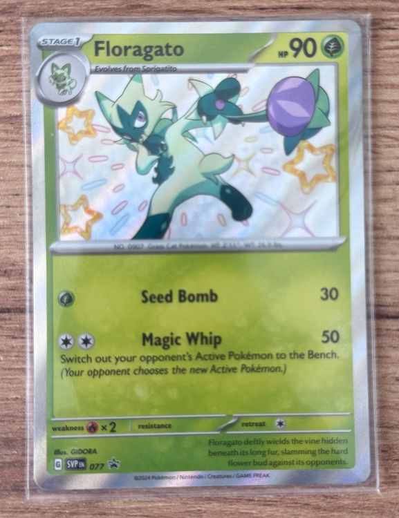 Floragato BABY SHINY SVP 077 Pokemon Paldean Fates Promo (Neu (gemäss ...