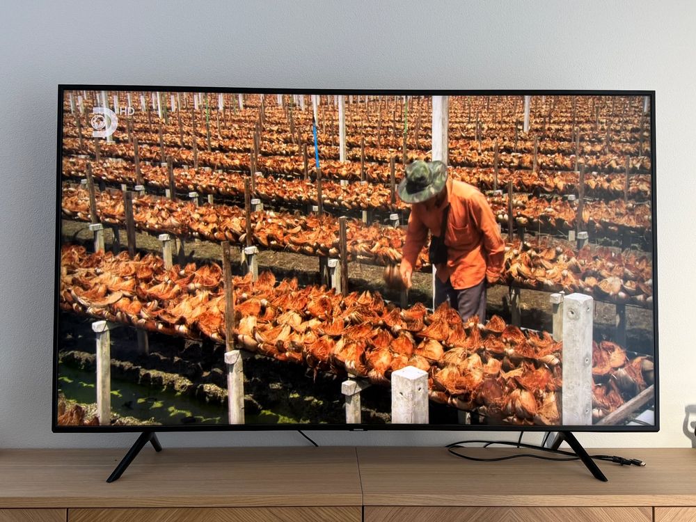 Samsung 65" QLED 4K Q60 (2019) QE65Q60RAT (Gebraucht) in Wald ZH für ...