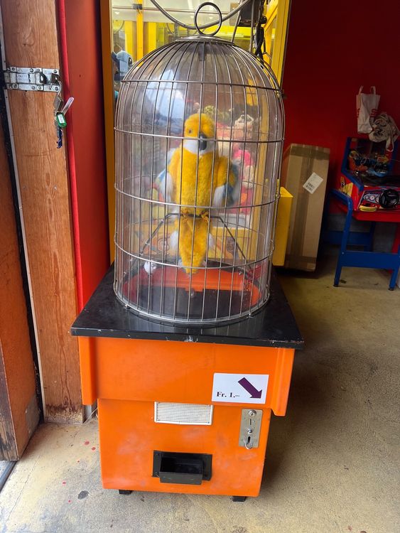 Papagei Automat Retro Vintage Gameroom (Gebraucht) in für CHF 328 – nur ...